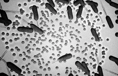 Omphalos Lifesciences